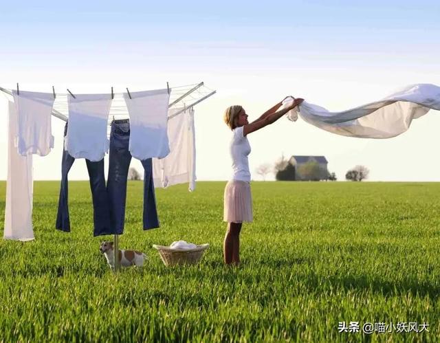 Why does the sun smell after drying the quilt, are the mites scorched ...