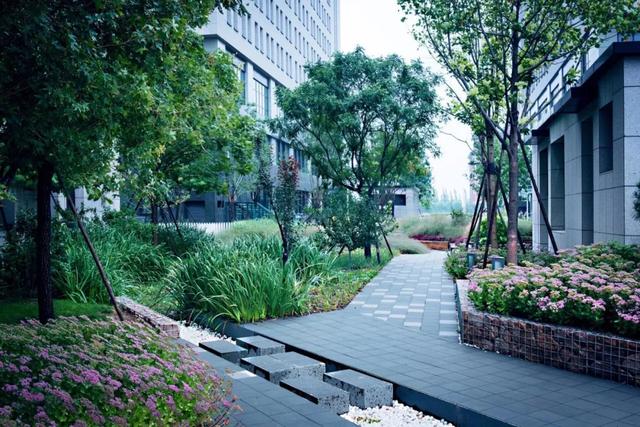 Zhongguancun Life Science Park Pharmaceutical Technology Center - iNEWS