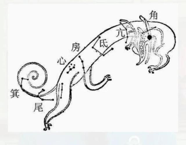 What do you pay attention to when the dragon raises its head in ...