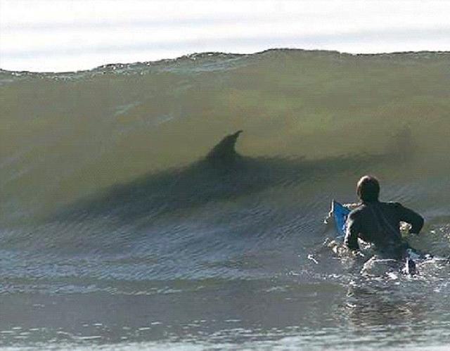 After watching this group of photos: "deep sea phobia" has completely ...