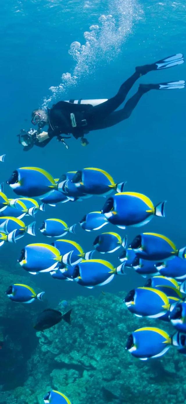 Consciousness of seeing and knowing (1) - iNEWS