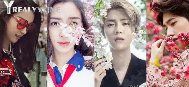 Luhan Yang Yang Yang Ying Ni Ni's early cherry blossom photo - iNEWS