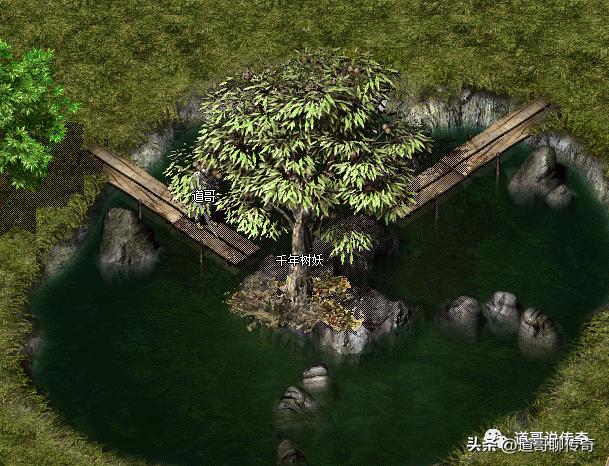 Hot-blooded legend: The big boss who crushed the thousand-year-old tree ...