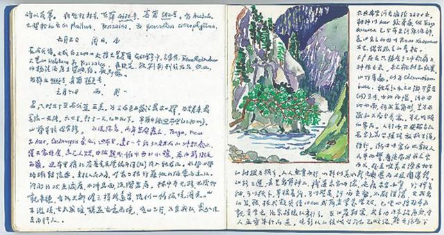 He is "Xu Xiake who can draw", and he wrote nearly one million words of ...
