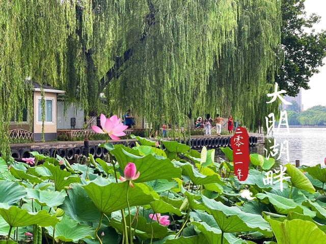 On the eve of the National Day, chasing the drama "Da Ming Dynasty 1566 ...