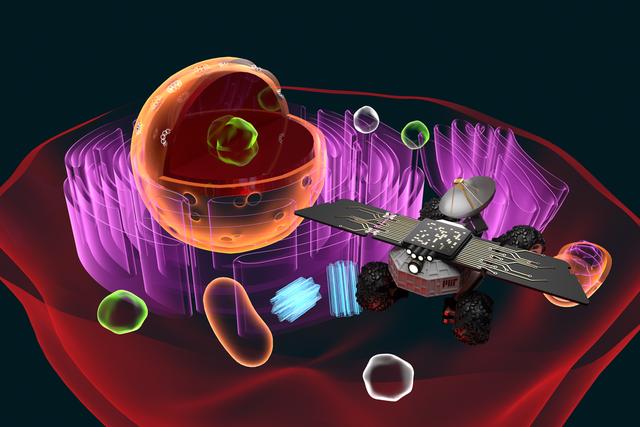 Tech Island: Cell rovers explore and enhance the inner world of cells ...