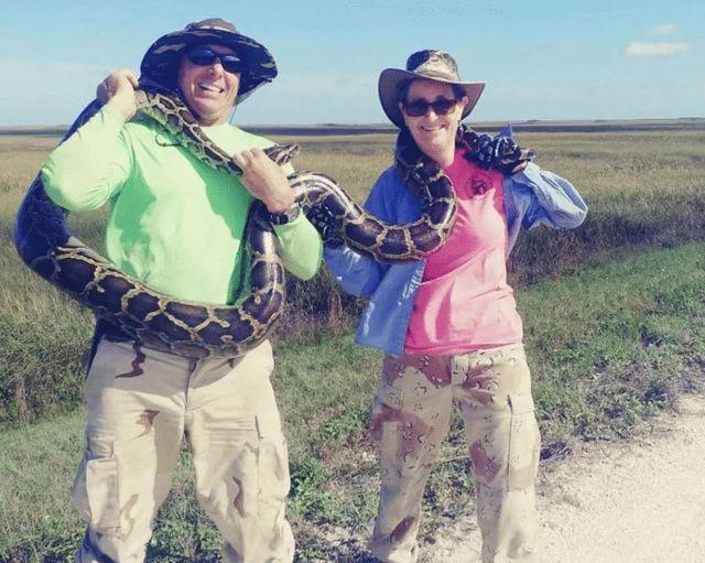 Large snakes ravage America, as many as hundreds of thousands, snake ...