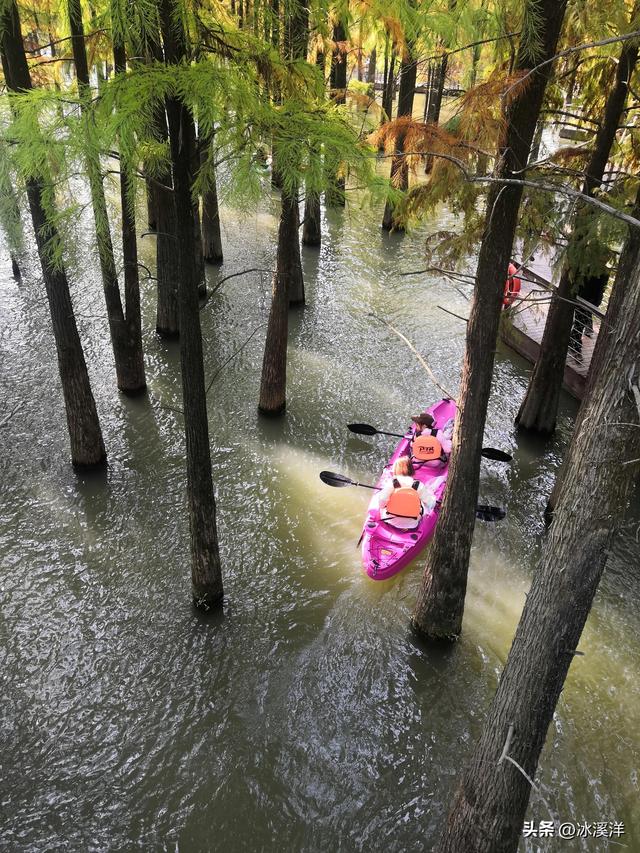 Wu Jing‖The Story of Qingshan Lake - iNEWS