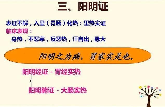 Severe fever, flushed face, profuse sweating, profuse thirst, yellow ...