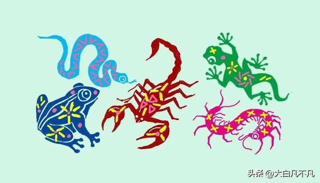 Poison is more poisonous!Inventory of the most "five poisons" - iNEWS