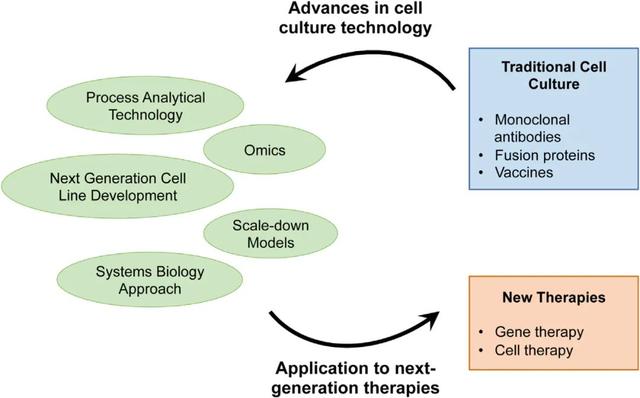 Cell Culture Bioprocessing - Paths Traveled and Way Forward - iNEWS