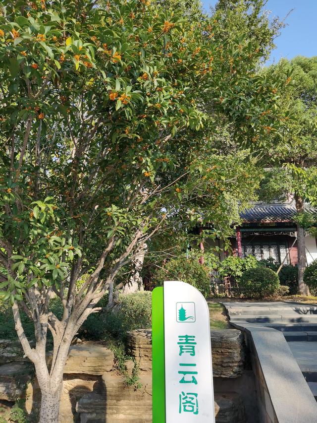 Changzhou Qinglian Garden is in full bloom - iNEWS