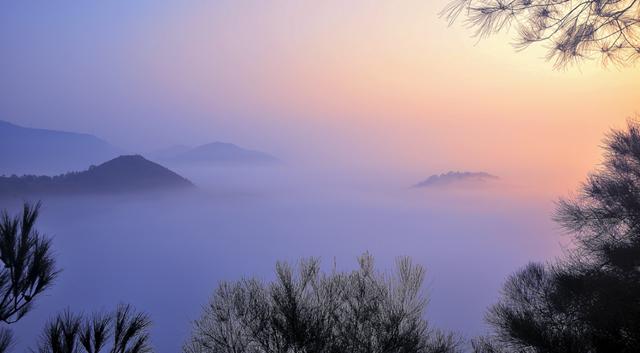 Volcano tea: the heart fragrance that has been chilled for hundreds of ...