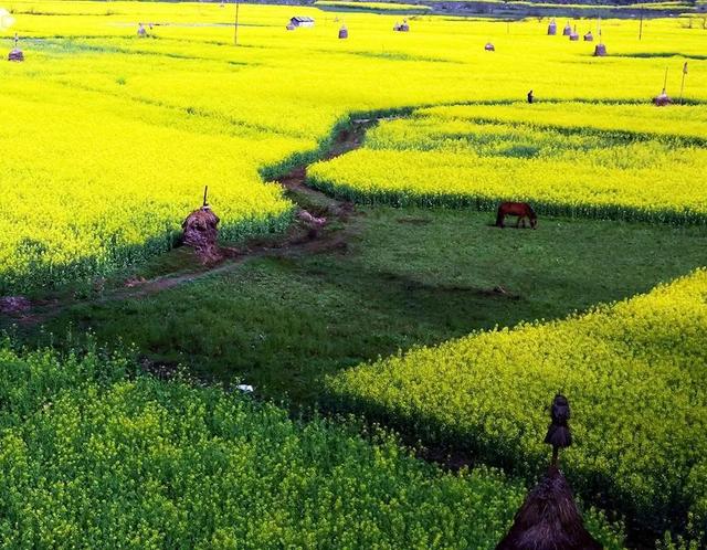 "Prose" Let's walk into spring together - iNEWS