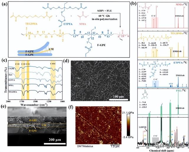 Lithium ion transfer mechanism in the only gel polymer electrolyte ...