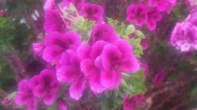 Twenty-four solar terms Lixia - iNEWS