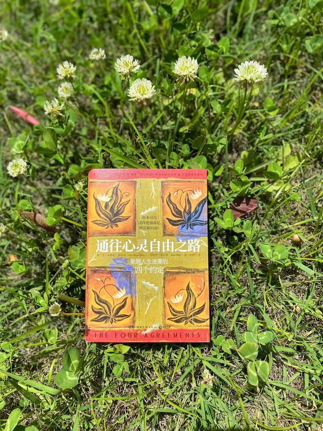 What is the magic of this palm-sized book? How many celebrities have ...