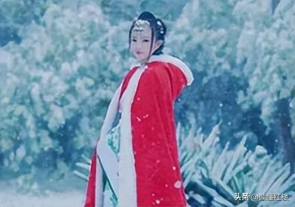 Baoqin Lixue - Add the qin and plum blossoms as they are, and add them ...