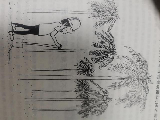 Plastic Oasis in the Desert - iNEWS