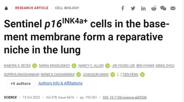 Science publishes paper revealing 'zombie' cells with therapeutic ...