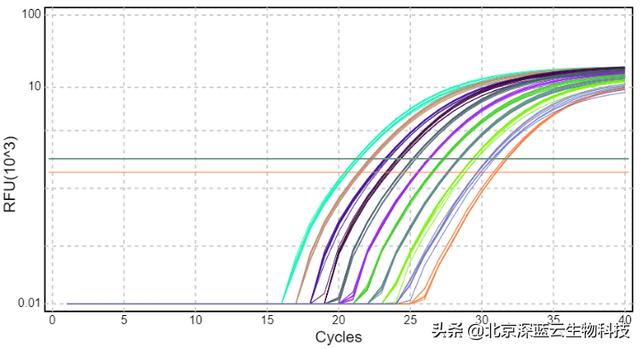 Fluorescence quantitative PCR experiment, how to choose fluorescent ...