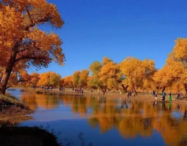 Identifying short traps set by bookmakers - iNEWS