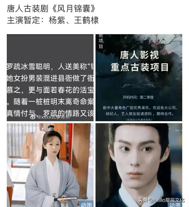 Internet rumored Tang costume drama "Fengyue Jinbao" starring tentatively: Wang Hedi and Yang Zi ...