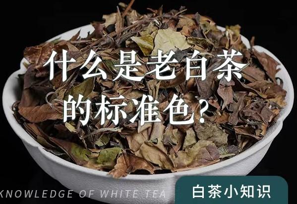 What is the standard color of old white tea? - iNEWS