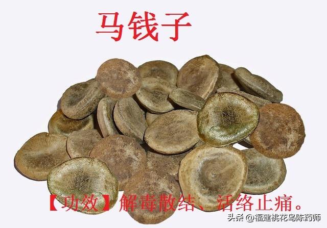 Plant-based poisonous traditional Chinese medicine (part 2)—① - iNEWS