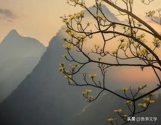 Li Junnan: Appreciation of New Poems - iNEWS