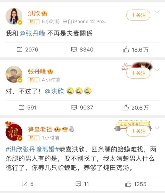 Hong Xin and Zhang Danfeng officially announced their divorce - iNEWS