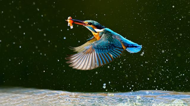 Parameters that you must be familiar with when playing photography ...