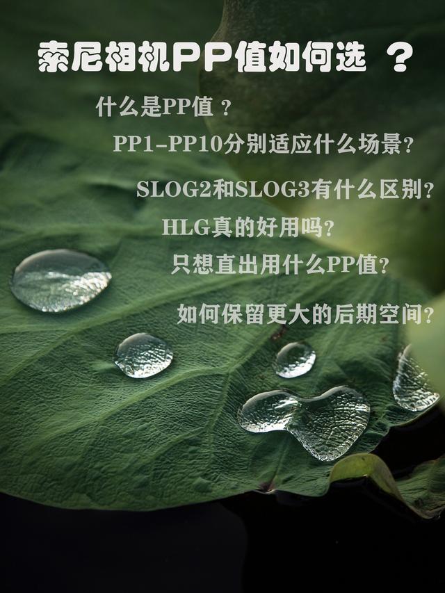 神秘的索尼PP值是什麼？PP1-PP10又該如何選？是否也困擾過你 - 資訊咖