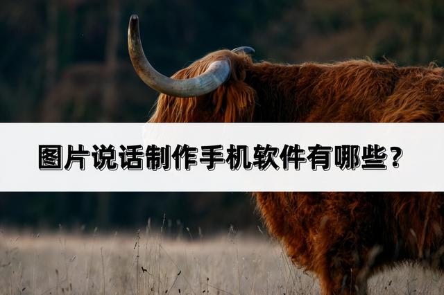 What are the mobile phone software that speaks with pictures?The ...