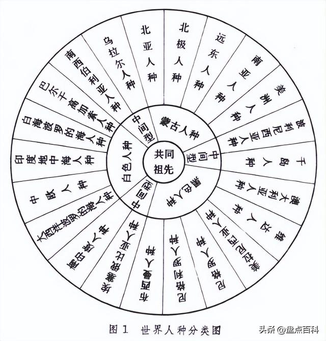 This article will take you to understand all the "races" in the world ...