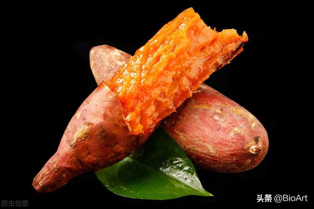 Shen Hongjie/Shi Yang/Lan Fei collaborative team reports the mechanism ...