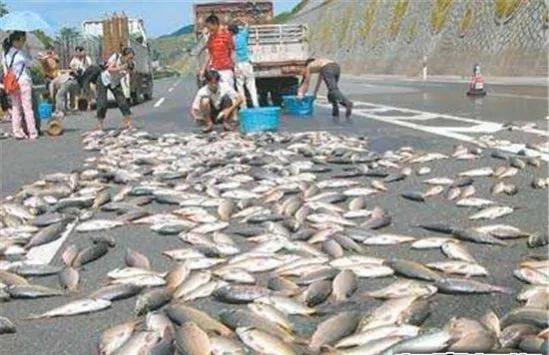 What is the phenomenon of falling fish from the sky (there was a ...