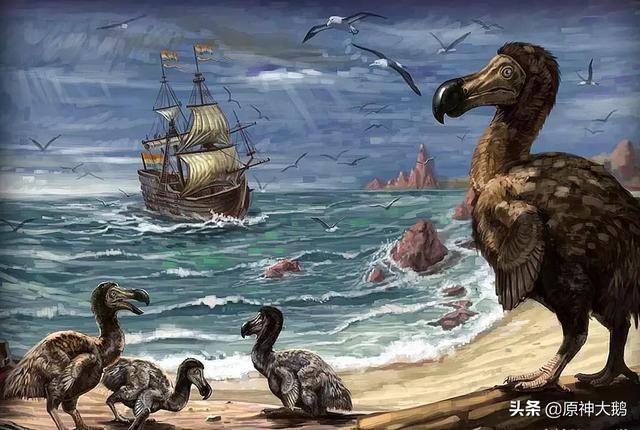 Dudu bird DNA sequence was successfully obtained by biologists, and it ...