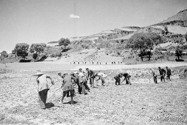 "Harrison Forman's China Photography Collection" 003 - iNEWS