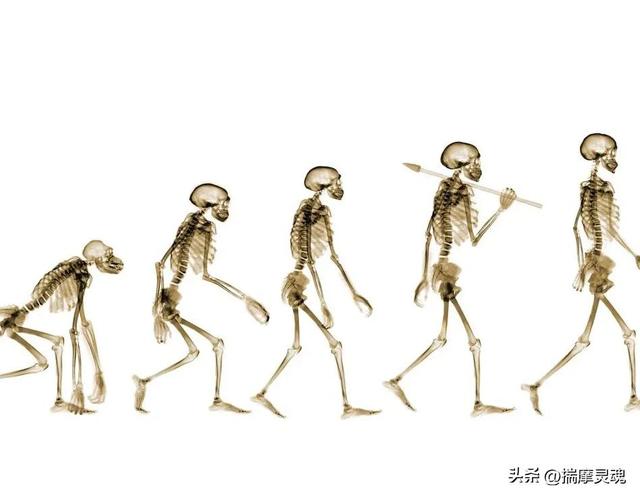 Do you still believe in evolution?Scientists find evidence that fish ...