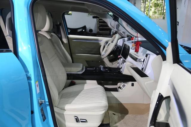 The interior of the Harvard Dog is re-coated with beige microfiber ...
