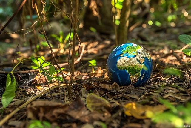 What will happen to the earth after humans disappear? - iNEWS