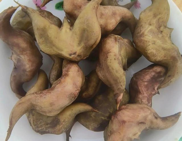 Autumn Food - Weishan Lake Water Chestnut - iNEWS