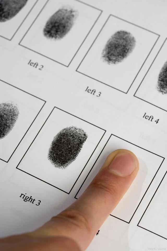 Can shaving the surface of your finger remove fingerprints? - iNEWS