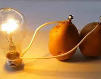 Why can potatoes generate electricity? - iNEWS
