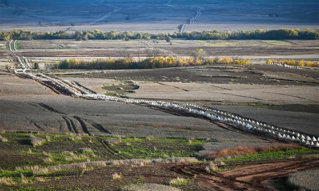 Western experts question the effectiveness of Russia's establishment of ...