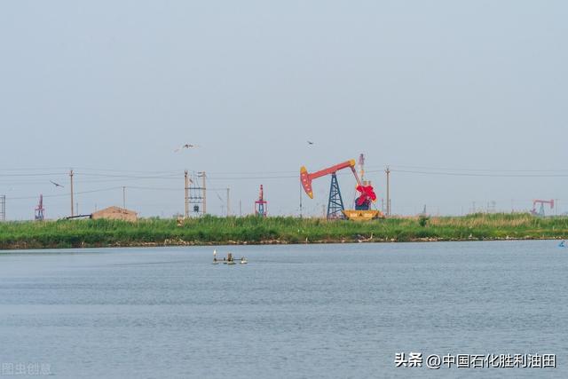 Gudao Oil Production Plant of Shengli Oilfield: Innovation and ...