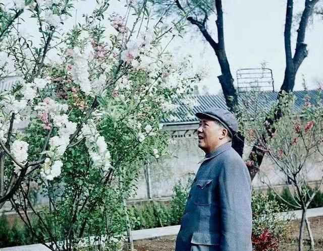 Book Review of "The Biography of Mao Zedong" - iNEWS