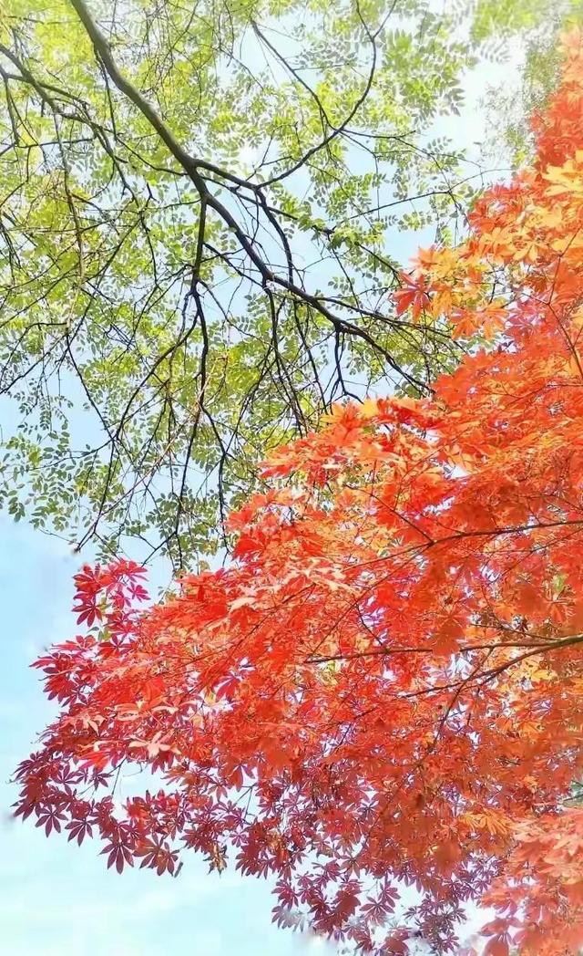 "The Analects of Confucius and Yong Ye" 3 Yan Hui is fond of learning ...