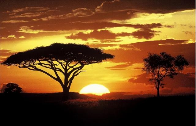 What are the requirements for a DRC visa agent?What materials need to ...